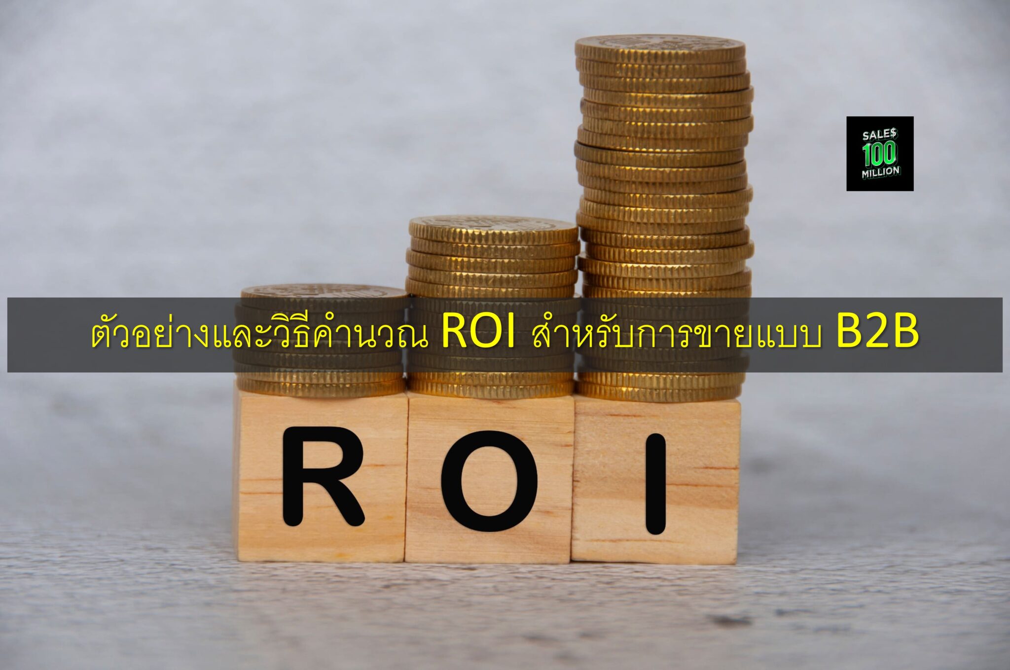 ตัวอย่างและวิธีคำนวณ ROI สำหรับการขายแบบ B2B – Sales100Million | วิธีขาย | อบรมสัมมนานักขายภายใน ...